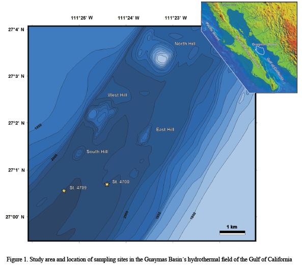 Bioaccumulation of some trace elements in the biota of hydrothermal ...