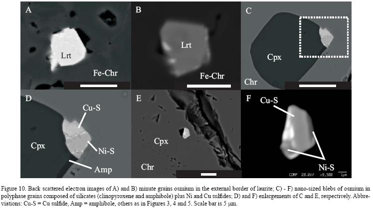 Platinum group minerals in chromitite bodies of the Santa Elena Nappe ...