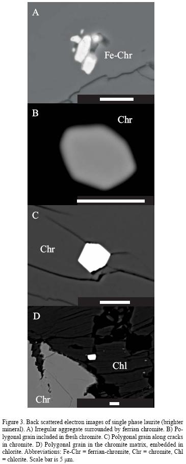 Platinum group minerals in chromitite bodies of the Santa Elena Nappe ...