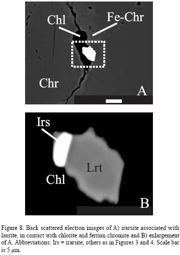 Platinum group minerals in chromitite bodies of the Santa Elena Nappe ...