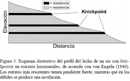 Estado actual del conocimiento, clasificación y propuesta de inclusión ...
