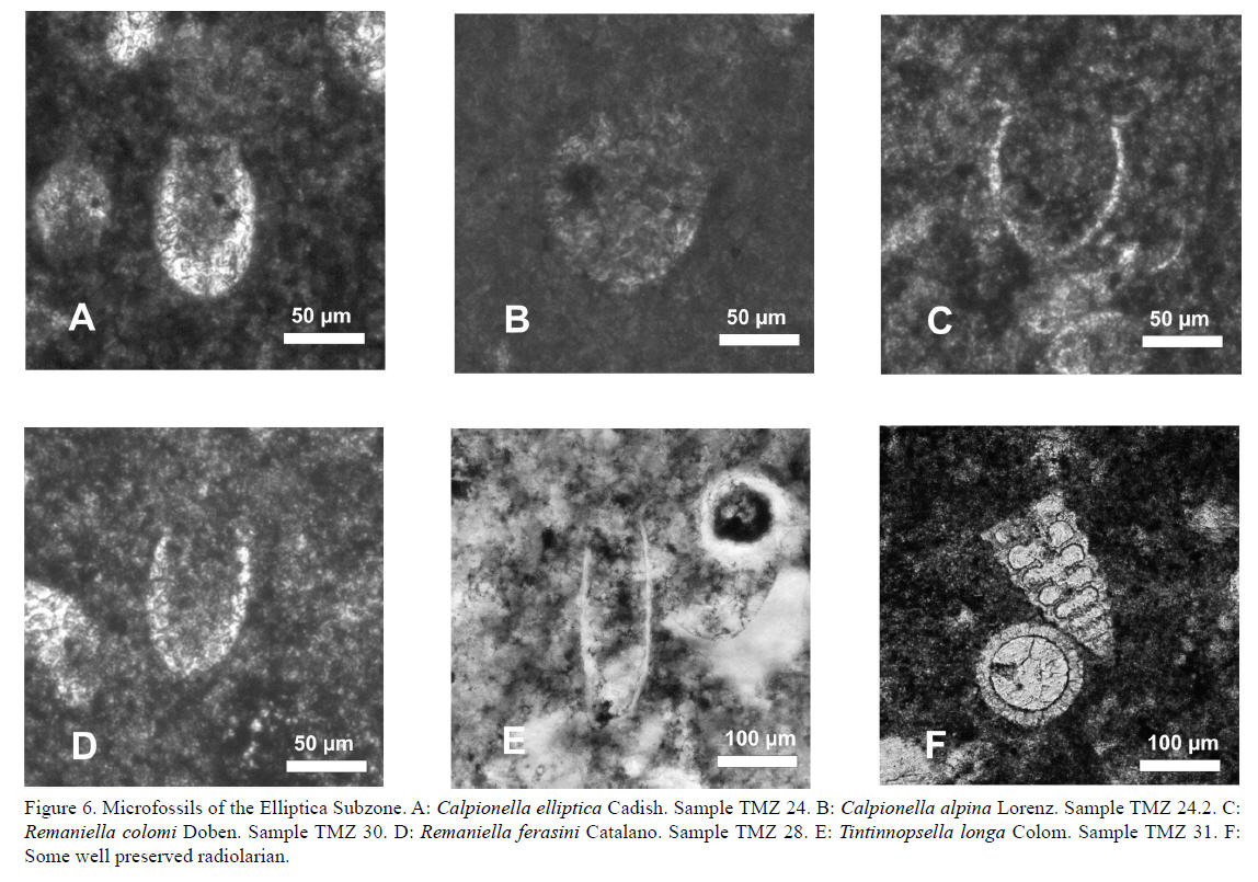 Calpionellid biostratigraphy, U-Pb geochronology and microfacies of the ...