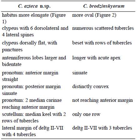 Calisiopsis azteca n.sp., the first Aradidae from mid Miocene Mexican ...