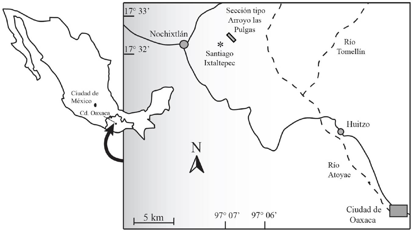 Braquiópodos discínidos (Lingulida, Discinoidea) de la Formación ...