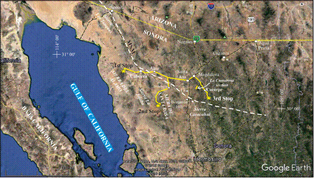 The Triassic/Jurassic boundary and the Jurassic stratigraphy and ...