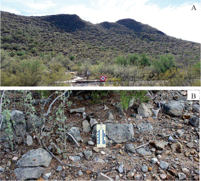 The Triassic/Jurassic boundary and the Jurassic stratigraphy and ...