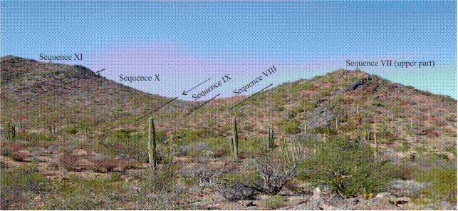 The Triassic/Jurassic boundary and the Jurassic stratigraphy and ...