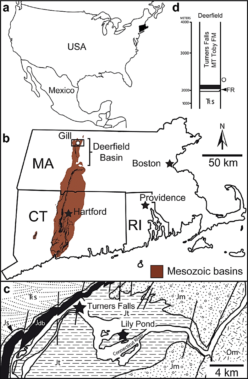 Revision of the Early Jurassic arthropod trackways Camurichnus and Hamipes