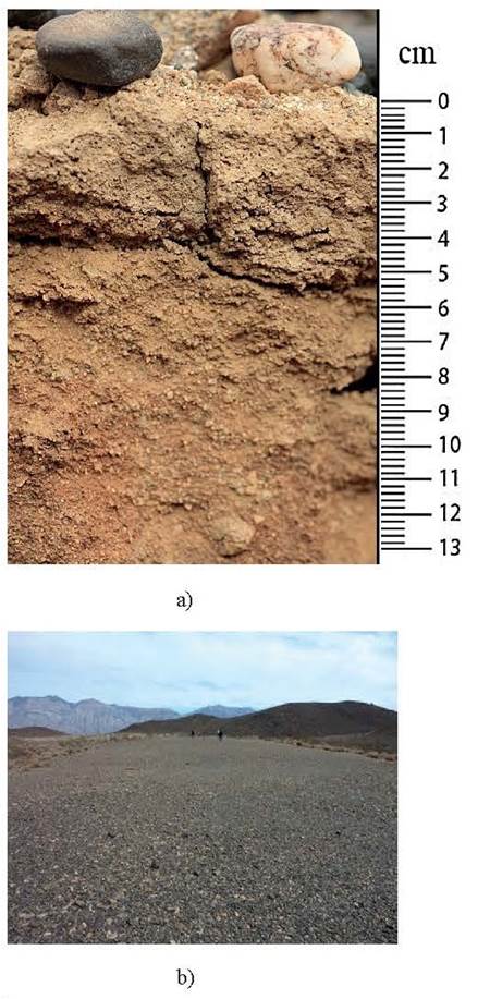 Microscopic and tomographic studies for interpreting the genesis of ...