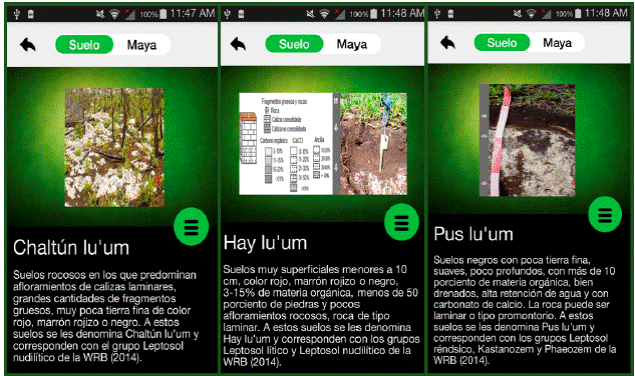 Technology and local wisdom: The Maya soil classification app