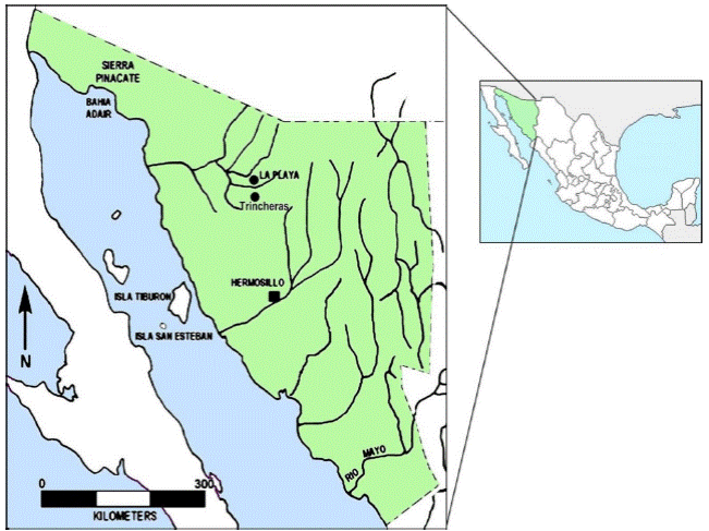 Late Holocene human activities and their impacts on the soils and ...
