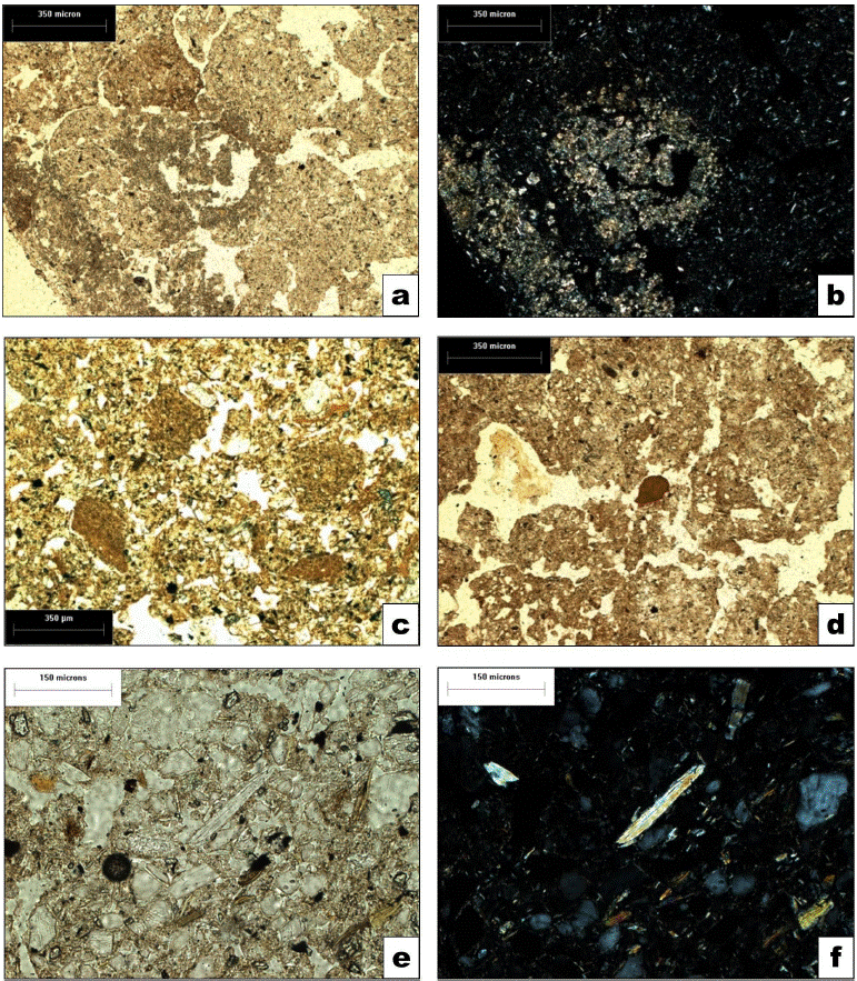 Late Holocene human activities and their impacts on the soils and ...