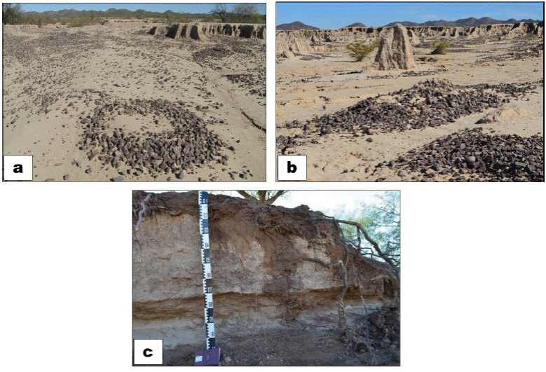 Late Holocene human activities and their impacts on the soils and ...