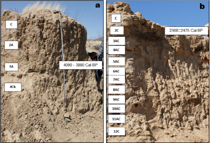 Late Holocene human activities and their impacts on the soils and ...