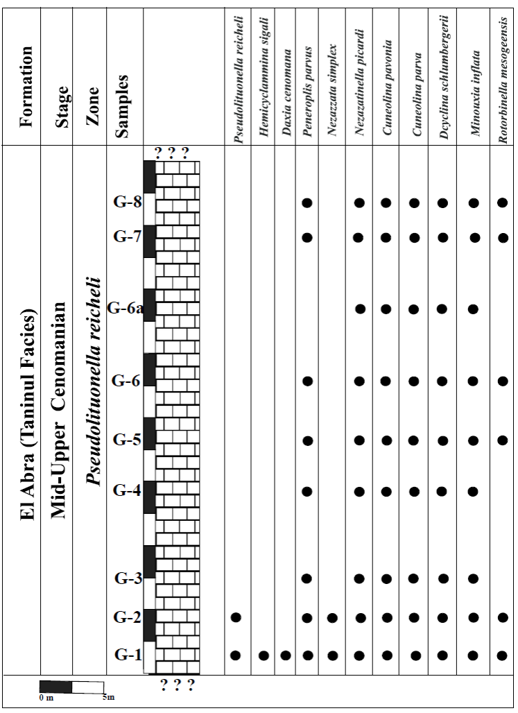 Mid-late Cenomanian larger benthic foraminifers from the El Abra ...