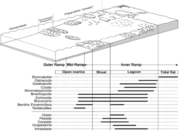 Late Devonian (Famennian) conodonts from Baqer-Abad section, northeast ...
