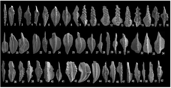 Late Devonian (Famennian) conodonts from Baqer-Abad section, northeast ...
