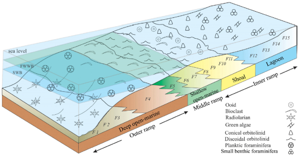 Palaeoenvironmental reconstruction and sequence stratigraphy of the ...