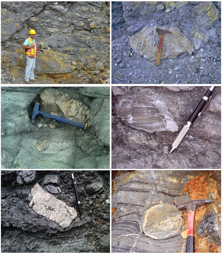 The Hatillo Limestone, Pueblo Viejo district, Dominican Republic ...