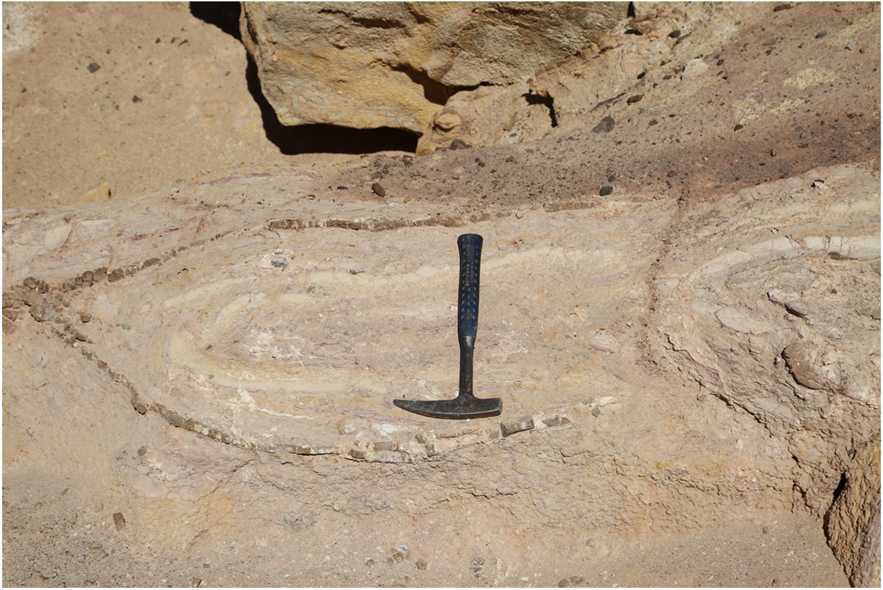 El Dominio Salino del norte de Chile y sus yacimientos de minerales ...