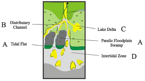 Reservoir quality and petrophysical evaluation of the Paleocene paralic ...