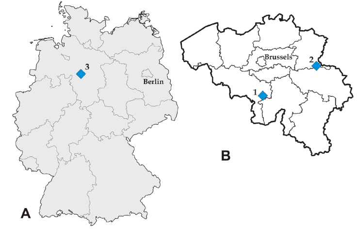 Notes on some Late Cretaceous goniasterid starfish (Echinodermata ...