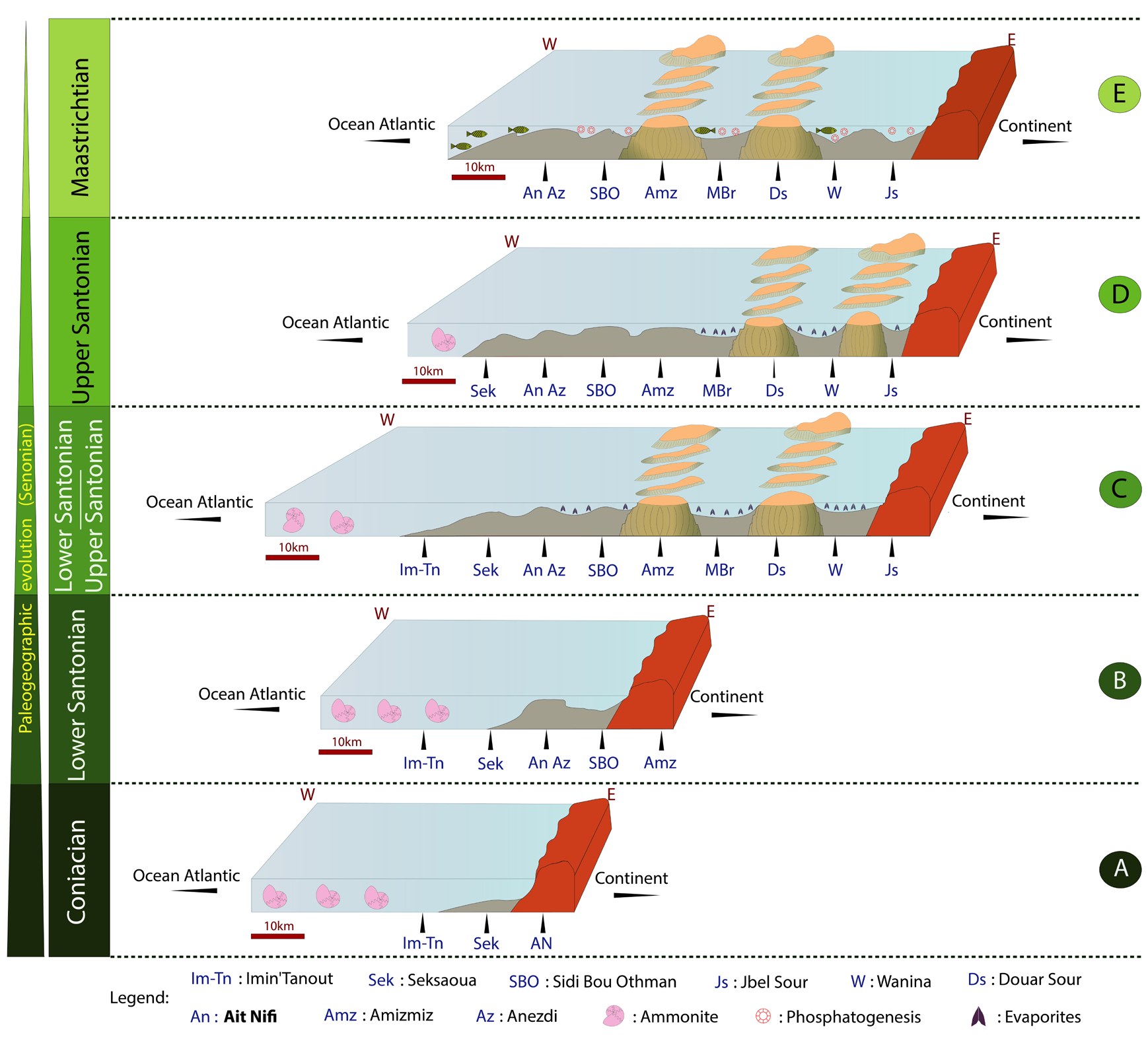 Upper Cretaceous deposits on the Northern side of the High Atlas Range ...
