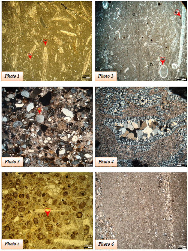 Upper Cretaceous deposits on the Northern side of the High Atlas Range ...