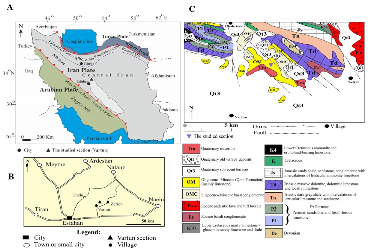 Paleoecology of Lower Miocene coralline red algae-rich grainstone ...