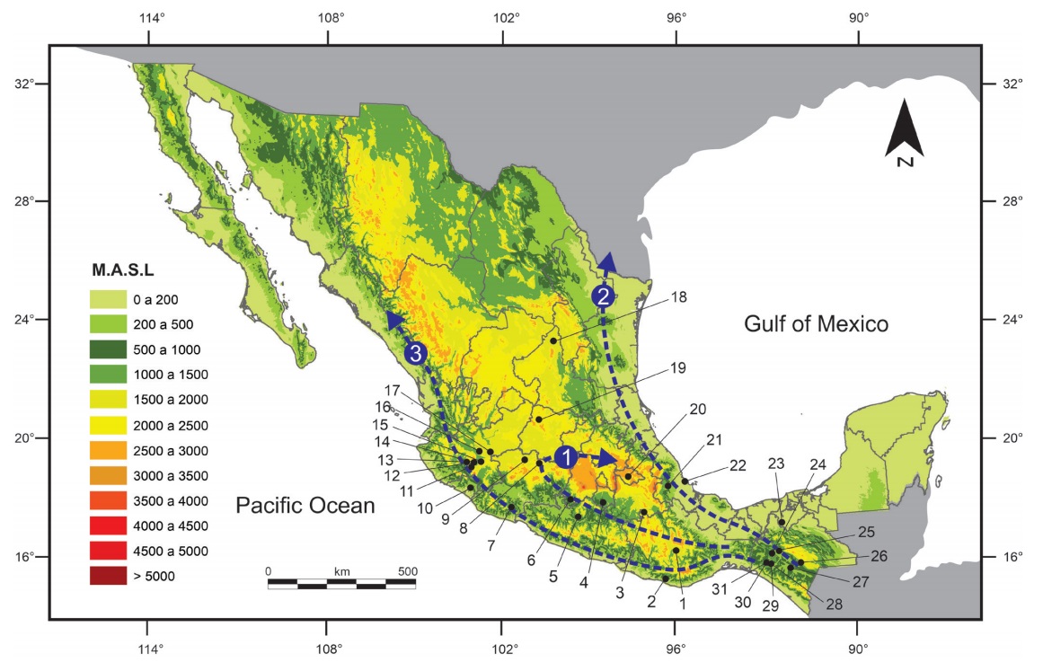 A new specimen of Eremotherium laurillardi (Xenarthra, Megatheriidae) from the Late Pleistocene ...