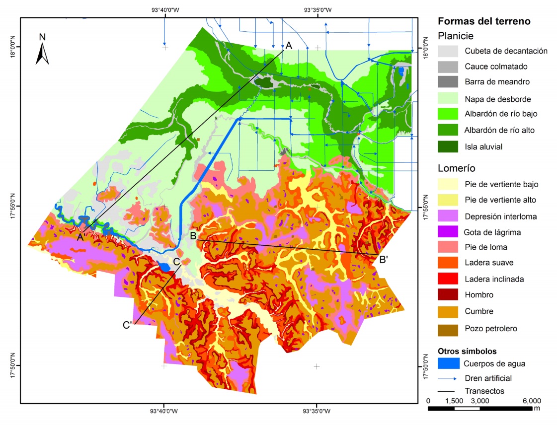 Formas Del Terreno A Escala Detallada En Planicies Aluviales Y Lomeríos