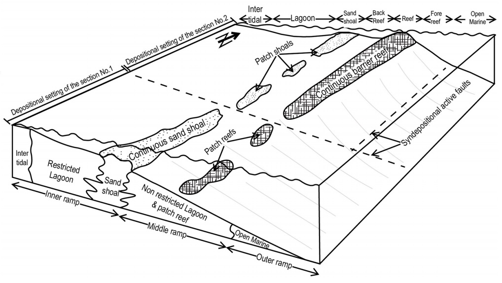 Microbiostratigraphy, microfacies analysis and lateral basin evolution ...