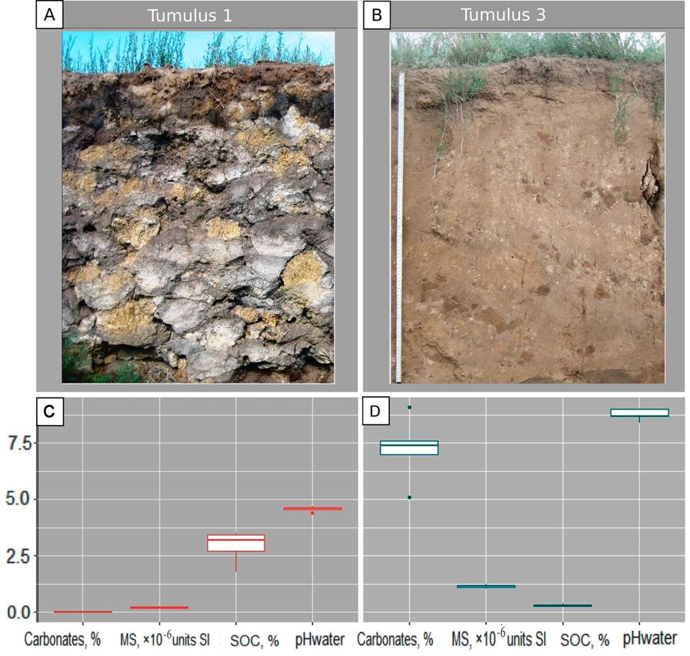 Soil-archaeological studies of Koy-Gunzhar Scythian tumuli (Kazakhstan ...
