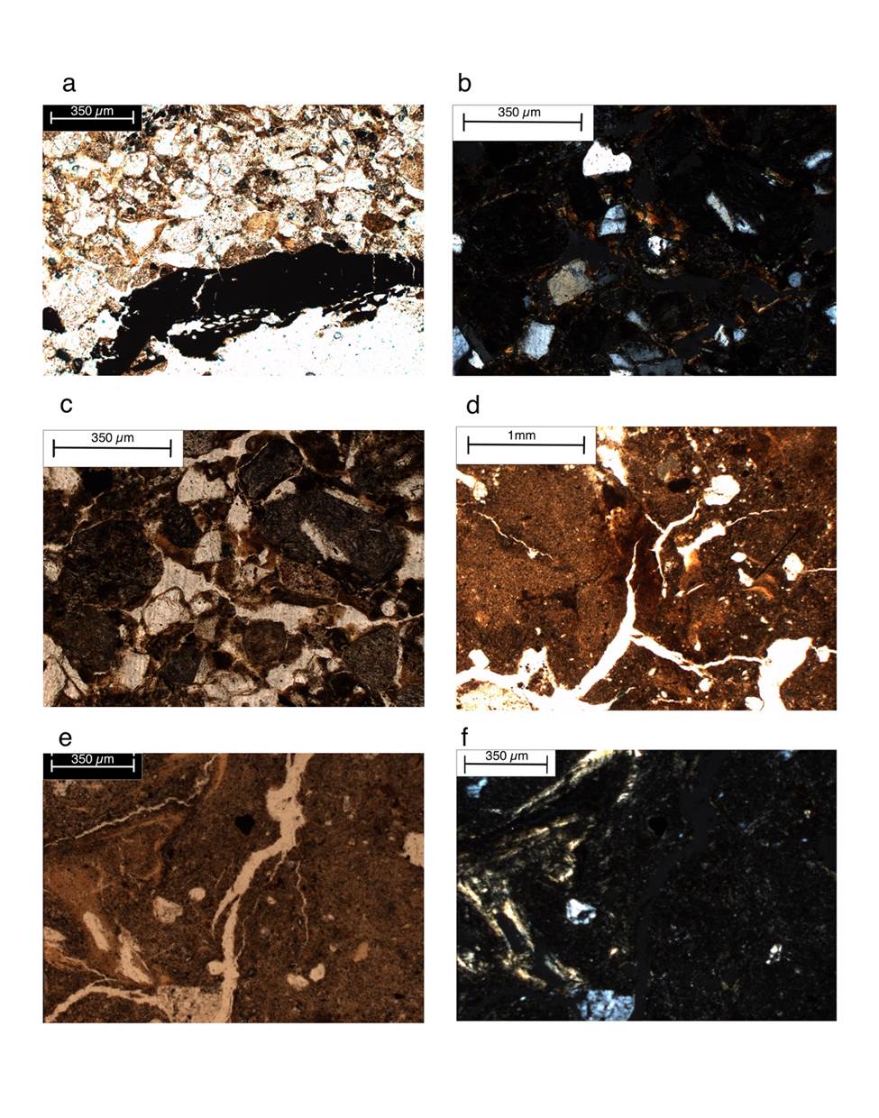 Use of sediments and soils (paleosols) in construction fills of the La ...