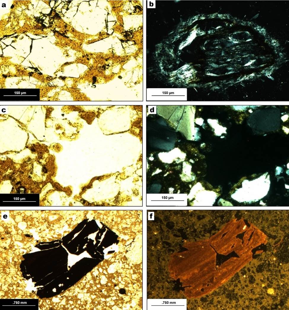 Late Pleistocene paleoenvironment at a Middle Stone Age archaeological ...