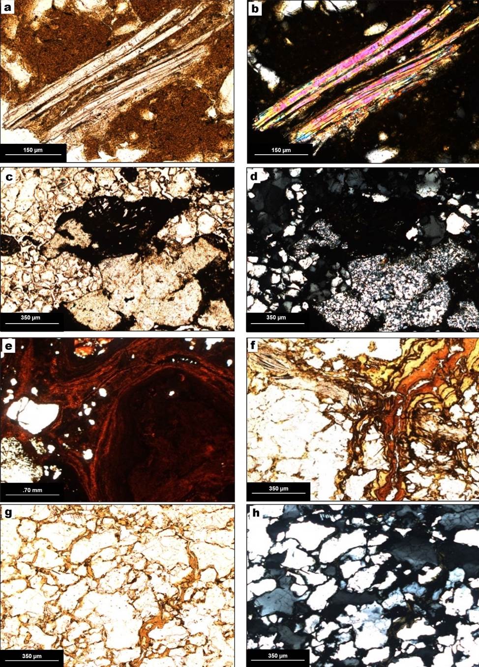 Late Pleistocene paleoenvironment at a Middle Stone Age archaeological ...
