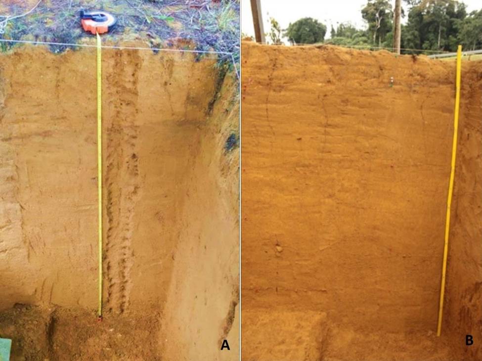 Late Pleistocene paleoenvironment at a Middle Stone Age archaeological ...