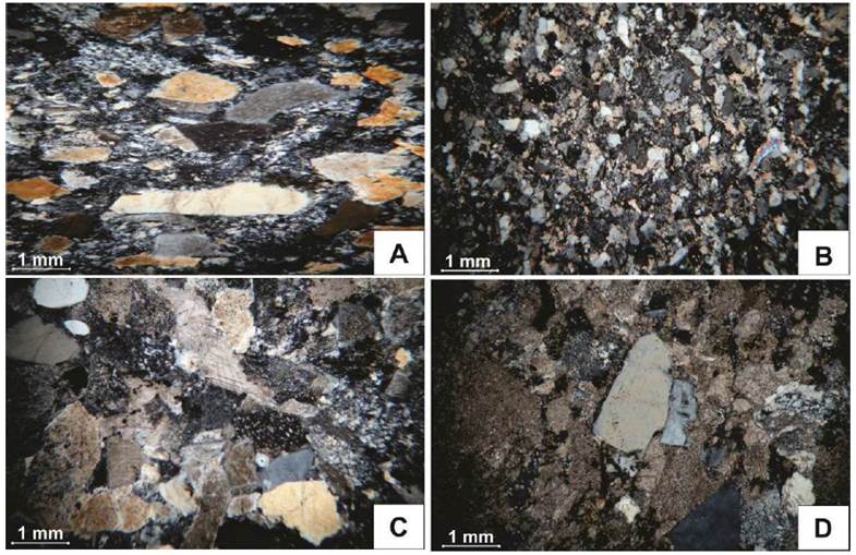 Lithostratigraphy, lithofacies and deposition conditions of the late ...