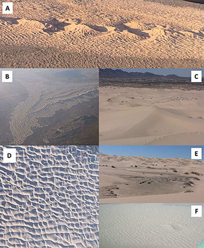 Morphometry of the Samalayuca dunes, northern Chihuahua, Mexico
