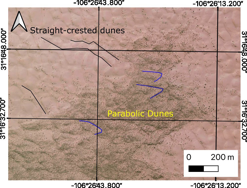 Morphometry of the Samalayuca dunes, northern Chihuahua, Mexico