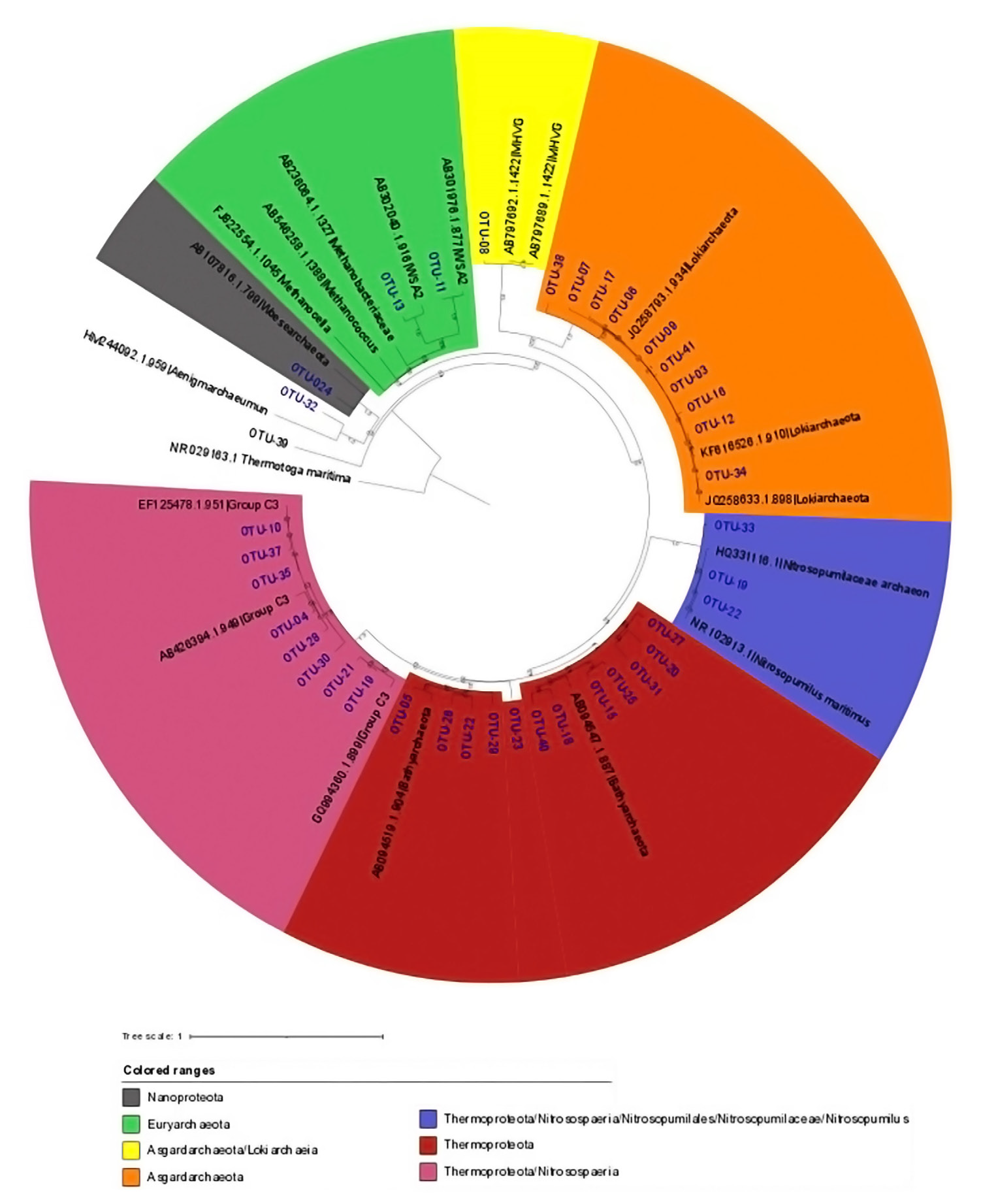 Archaeal communities at gas-venting shallow basins in the northern Gulf ...