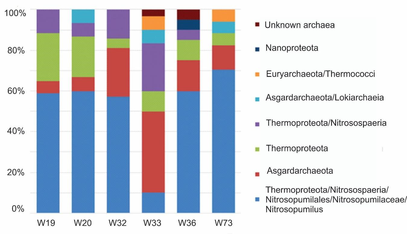 Archaeal communities at gas-venting shallow basins in the northern Gulf ...