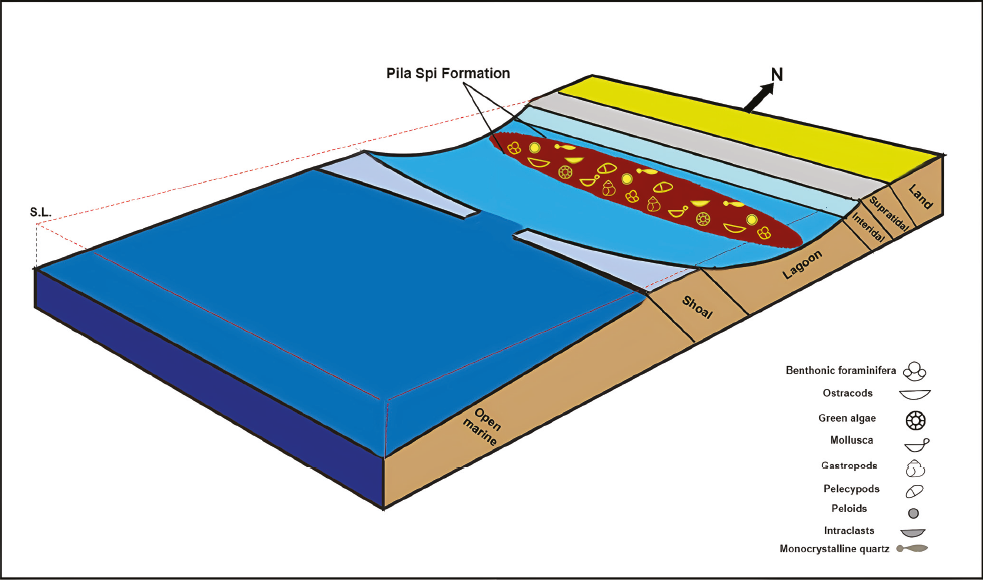 Lithostratigraphy and microfacies analysis of Middle-Late Eocene Pila ...