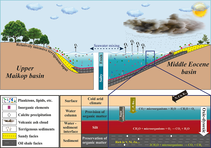 Factors controlling the formation and oil-generating potential of the ...