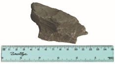 Factors controlling the formation and oil-generating potential of the ...