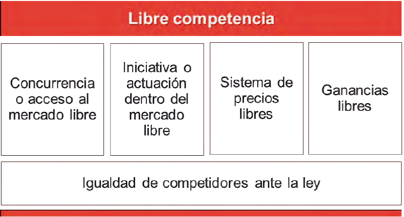 Principio constitucional de la libre competencia