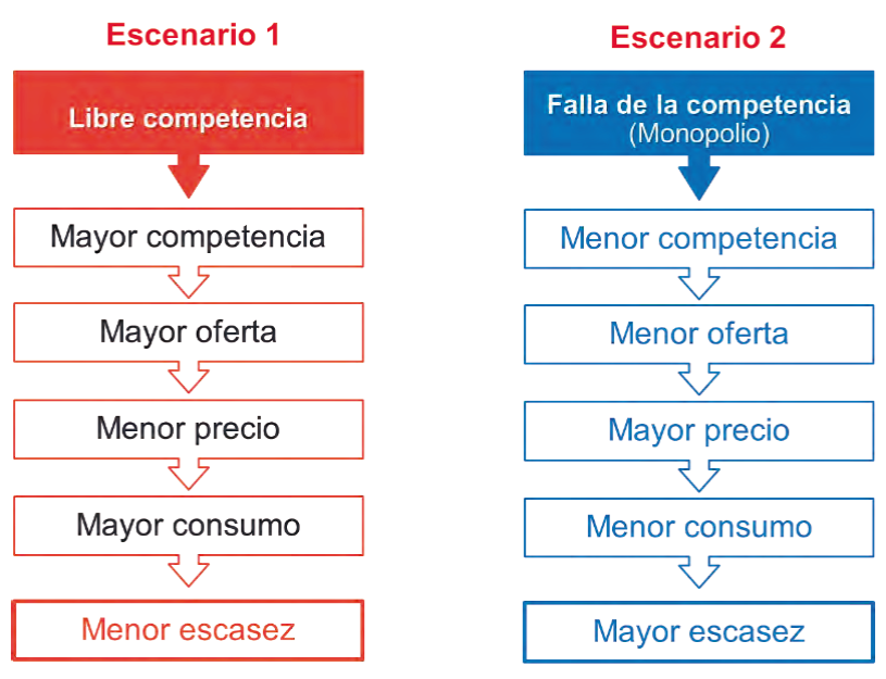 Principio constitucional de la libre competencia