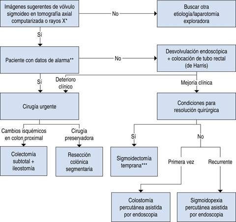 Vólvulo de sigmoides. Revisión de la literatura