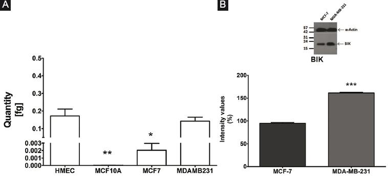 Expression changes of BIK in breast cancer tissues of different ...