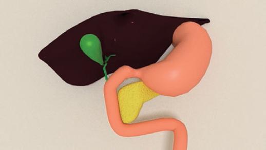 Laparoscopic Roux-en-Y hepaticojejunostomy reconstruction after ...